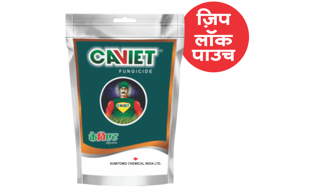 केविएट सुरक्षा, सम्पूर्ण सुरक्षा - जीरे की फसल का भरोसेमंद फफूंदनाशक ...