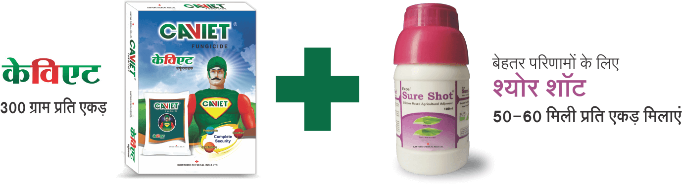 केविएट सुरक्षा, सम्पूर्ण सुरक्षा - जीरे की फसल का भरोसेमंद फफूंदनाशक ...