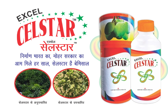 सेलस्टार - आम मिले हर साल, सेलस्टार है बेमिसाल (Sumitomo celstar)